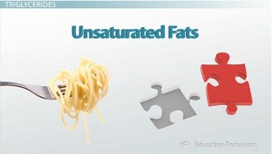 Lipids | Structure, Function & Examples - Lesson | Study.com