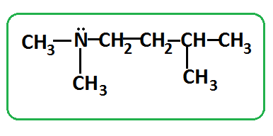 Draw a bond-line structure for (CH3)2N(CH2)3CH(CH3)2. Include Lone ...