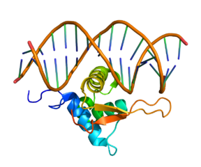 Biochemical Compounds | Definition, Classes & Uses | Study.com