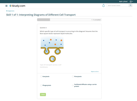 How Study.com Uses Learning Science Research to Design Effective ...