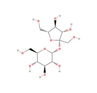 Categorizing Hydrolysis and Dehydrations Synthesis between ...