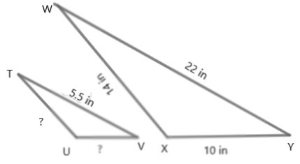 Using SSS in Similar Triangles Practice | Geometry Practice Problems ...