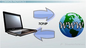 Internet Connectivity and Communication Standards - Video & Lesson ...