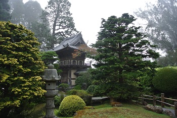 Japanese Tea Gardens: History, Plants & Design | Study.com