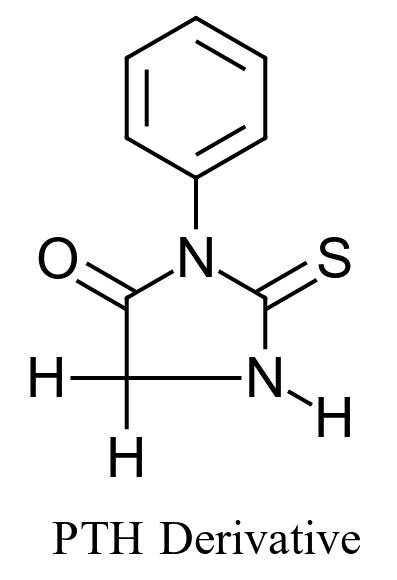 Draw the structure of the PTH derivative you would obtain by Edman ...