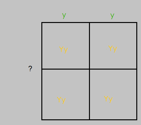 Performing a Test Cross to Determine if a Dominant-expressing Organism ...