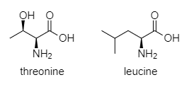 Draw the condensed structural formula for the peptide threonylleucine ...