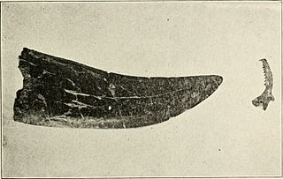 Cretaceous Period: Lesson for Kids | Study.com