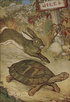 The Tortoise & the Hare Characters - Lesson | Study.com