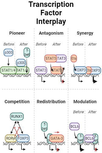 Demonstrating Organisms' Fundamental Molecular & Cellular Features ...