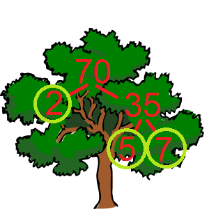 Prime Factorization | Definition, Methods & Examples - Lesson | Study.com