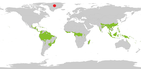 Identifying & Interpreting Trends in Regional Climate Based on the ...