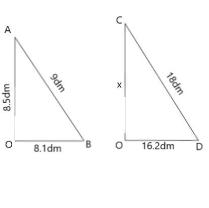 Identifying Similar Right Triangles Practice | Geometry Practice ...