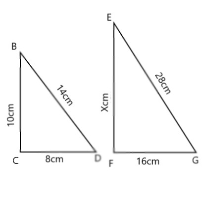 Identifying Similar Right Triangles Practice | Geometry Practice ...