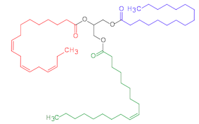 Identifying the Parts of a Triacylglycerol Practice | Chemistry ...