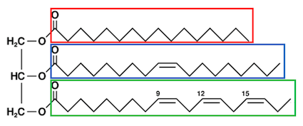 Identifying the Parts of a Triacylglycerol Practice | Chemistry ...