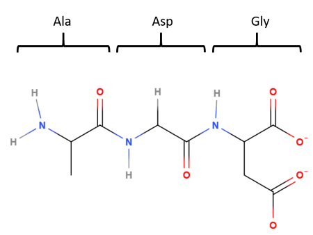 Draw a formula for Ala-Asp-Gly in its predominant ionic form at pH 7.3 ...