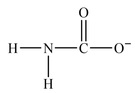 Explain why the conjugate acid of NH2CO2H is correctly written with the ...