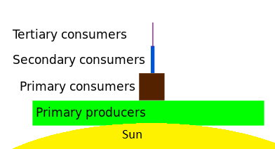 Using Mathematical Models to Describe Energy Flow between Trophic ...