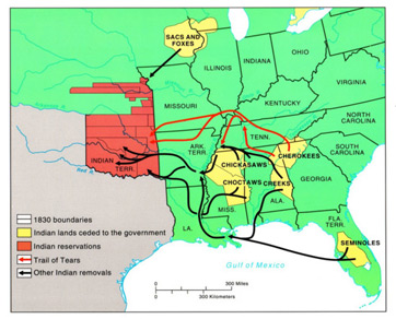 Andrew Jackson | Presidency & Facts | Study.com