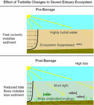 Freshwater, Saltwater & Mixed Water | Overview & Differences - Lesson ...