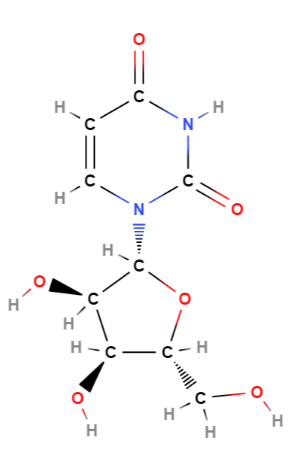 Categorizing the Four Biological Macromolecule Monomers Based on an ...