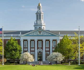 Pilaster vs. Engaged Column | Definition & Development - Lesson | Study.com