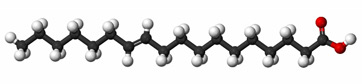 Unsaturated Fatty Acid | Classification & List | Study.com
