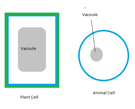 Comparing & Contrasting Plant & Animal Cells Practice | Biology ...