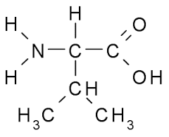 Valine - Alchetron, The Free Social Encyclopedia
