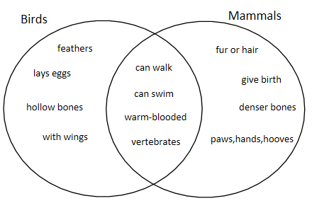 Interpreting a Venn Diagram of 2 sets Practice | Algebra Practice ...