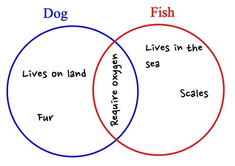 Compare & Contrast Graphic Organizer | Overview, Types & Examples ...