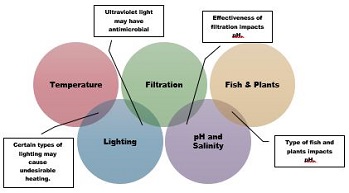 Collaborative Systems Thinking in Design Teams | Study.com