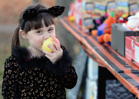 Ofrecer in Spanish | Conjugation, Tenses & Examples | Study.com