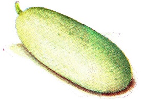 The BFG Chapters 6-11 Summary | Study.com