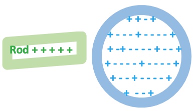 Finding the Orientation of Charge Separation Induced in a System from ...
