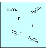 Identifying Weak Bases from a Sketch Practice | Chemistry Practice ...