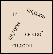 Identifying Weak Bases from a Sketch Practice | Chemistry Practice ...