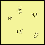 Identifying Strong Bases from a Sketch Practice | Chemistry Practice ...