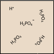 Identifying Weak Bases from a Sketch Practice | Chemistry Practice ...