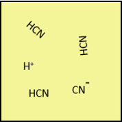 Identifying Weak Bases from a Sketch Practice | Chemistry Practice ...