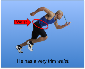 When to Use Waste or Waist | Study.com