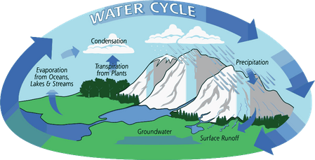 Distribution of Water on Earth | Overview & Percentage - Lesson | Study.com