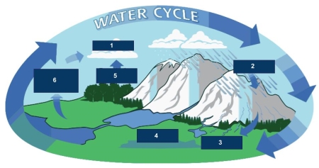 Identifying How Gravity Affects the Cycling of Water from Earth's ...