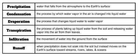 Identifying How Gravity Affects the Cycling of Water from Earth's ...