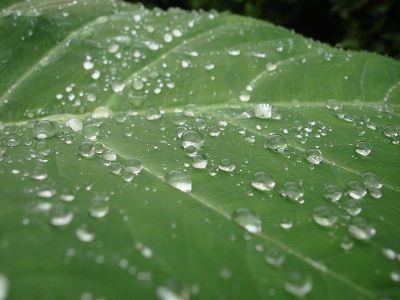 Surface Energy: Definition & Measurement | Study.com