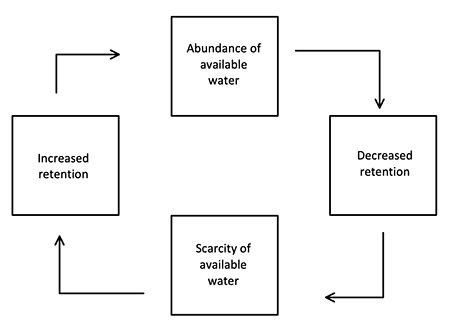 Developing Hypotheses About the Effects of Negative Feedback Mechanisms ...