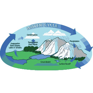 Organizing into Steps the Flow of Water through an Ecosystem Practice ...