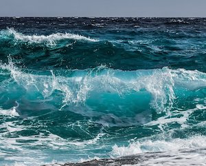 Hypertonic Solution | Definition, Significance & Examples - Lesson ...