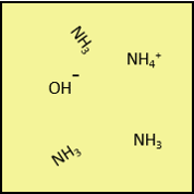 Identifying Strong Bases from a Sketch Practice | Chemistry Practice ...
